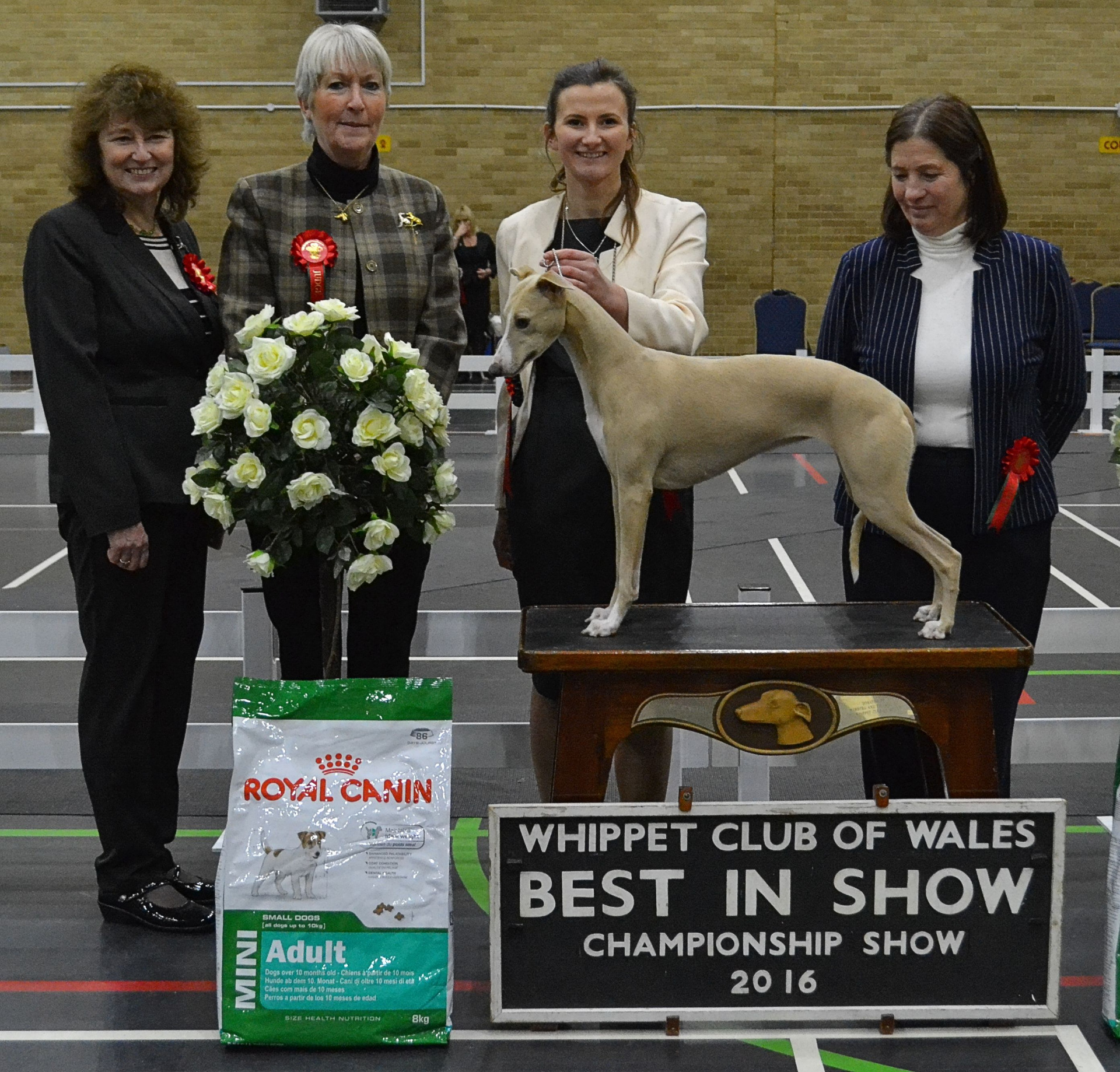 Whippet show information for Whippet Club of Wales